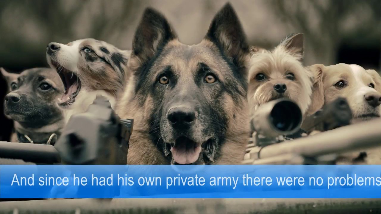 The cutest Animal WAR MOVIE you will ever watch. GUARANTEED - YouTube