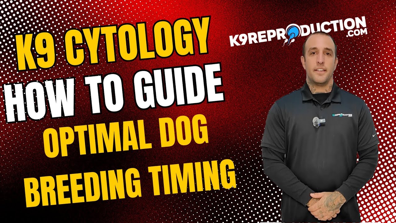Canine Vaginal Cytology: Step-by-Step Guide for Optimal Dog Breeding ...