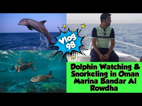 Dolphin Watching & Snorkeling In Oman | Marina Bandar Al Rowdha ...
