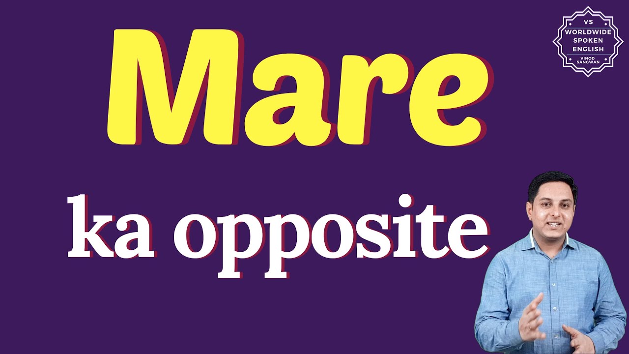 Mare ka opposite word kya hota hai | opposite of Mare in English and ...