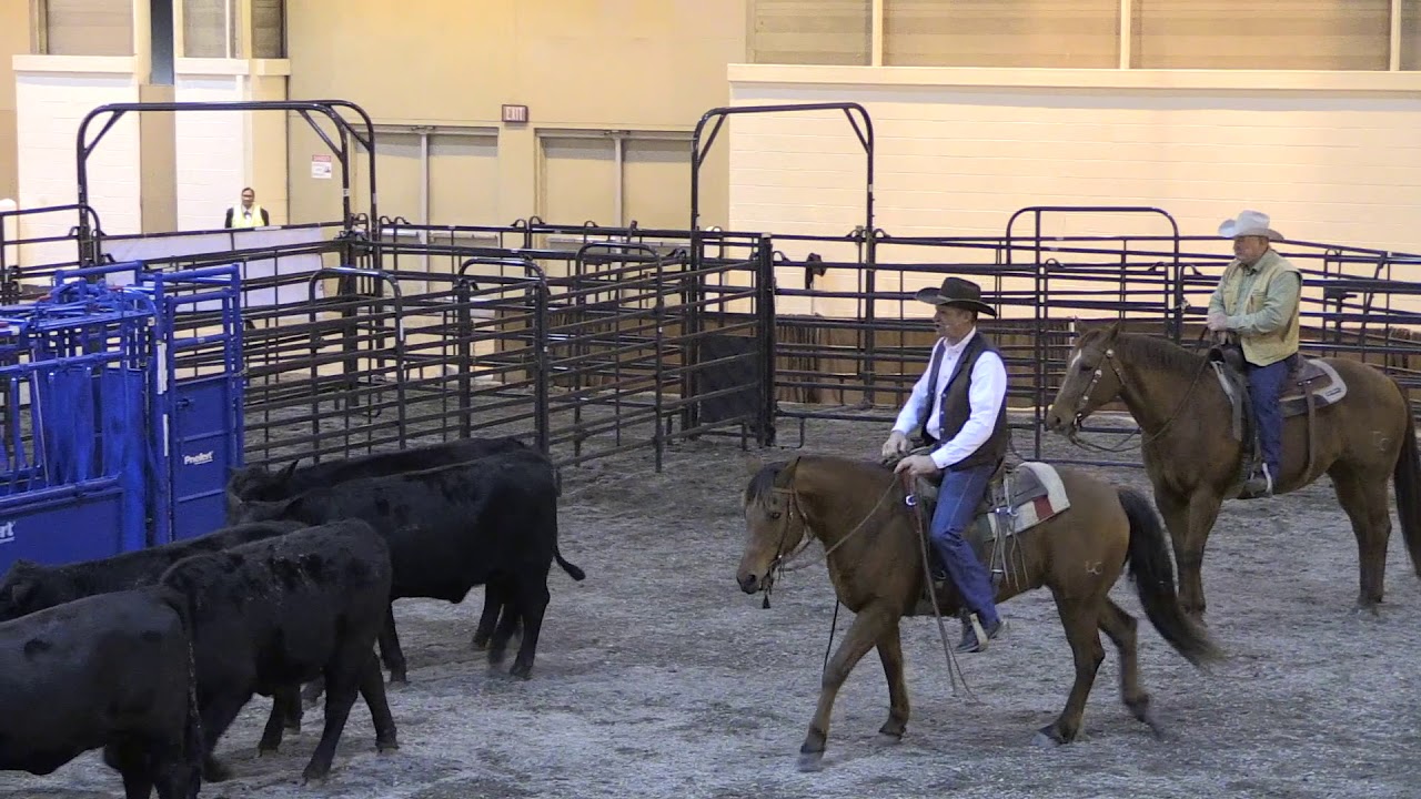 Cattle Handling - NCBA 2019 - Horseback - YouTube