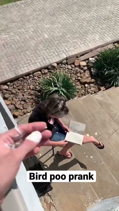 Bird poo prank 🤣🤣 #shorts - YouTube