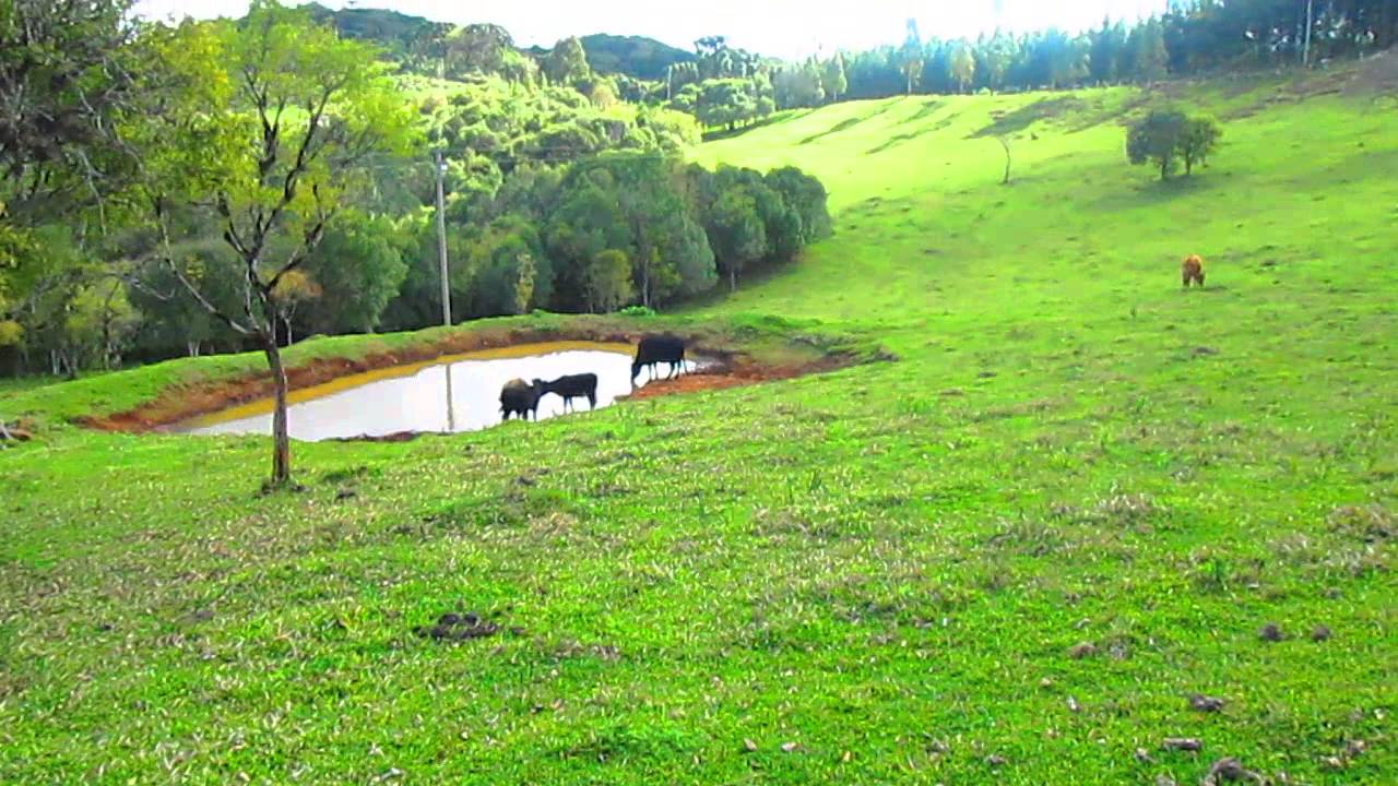 apresentando o sitio - YouTube