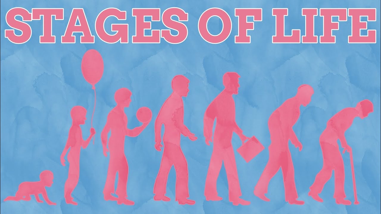 How Did The Stages Of Life Get Their Names? - YouTube