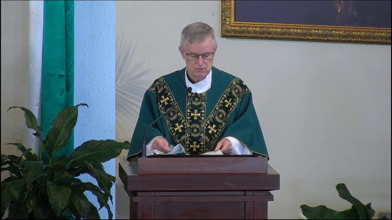Father Peter Infanger Homily - A near drowning and what we can learn ...