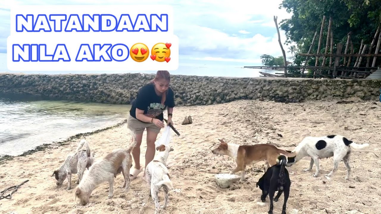 VLOG# 1365 PINAKAIN KO ULI ANG MGA ASO AT NATANDAAN NILA AKO - YouTube