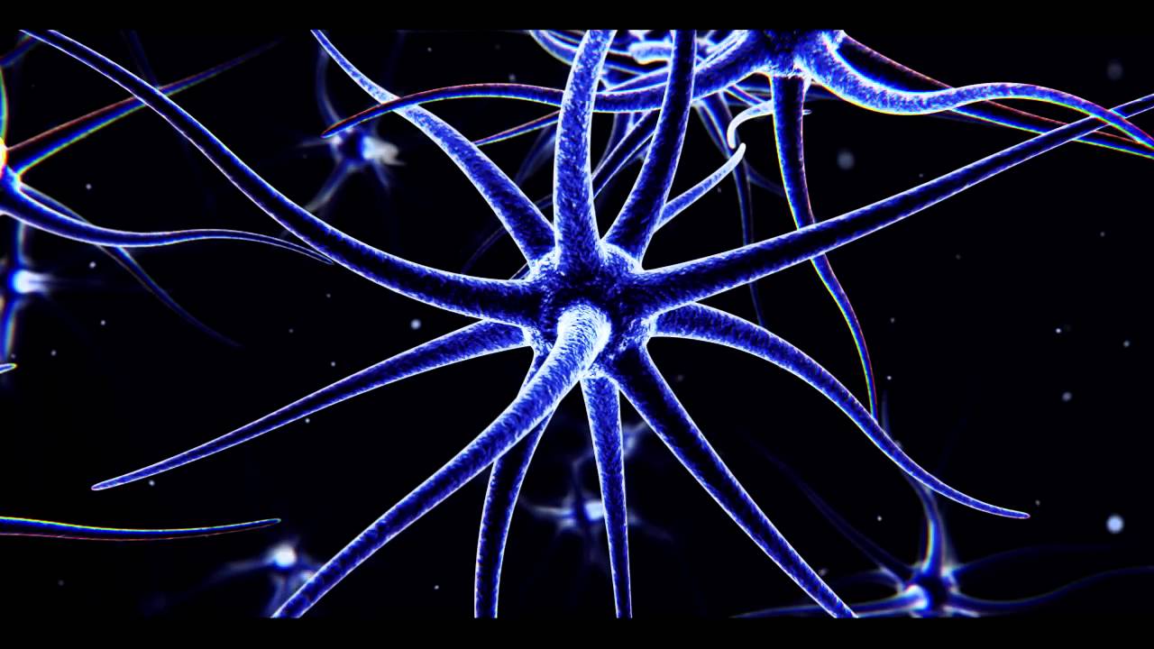 #Brain Cell Animation! (Cellules de cerveaux!) - YouTube