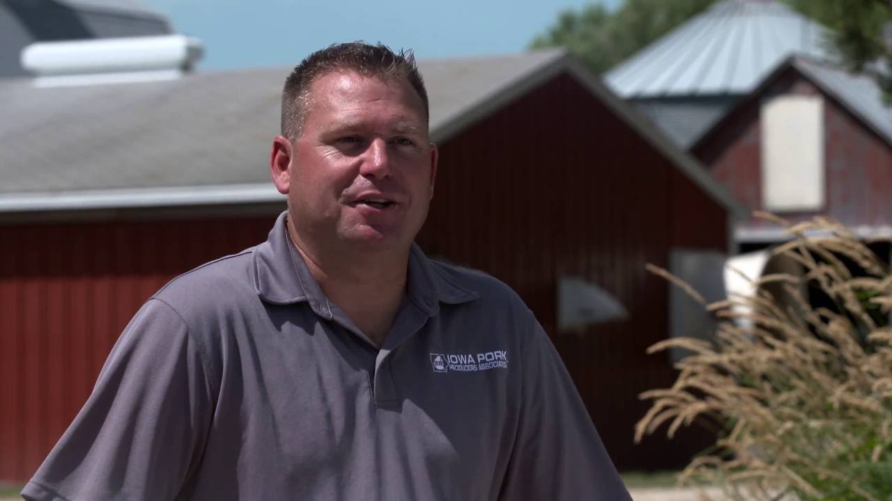 Sleezer Farm Pigs - YouTube