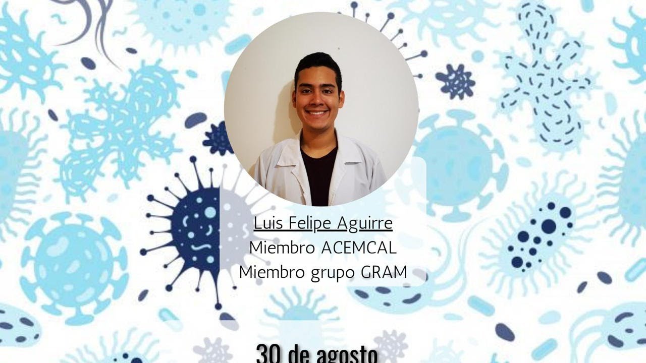 Género Streptococcus y Enterococcus - Ciclo de Bacterias - YouTube