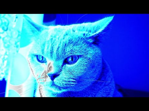 My beat "SCHOOL" Official video. better with headphones 🎧 - YouTube