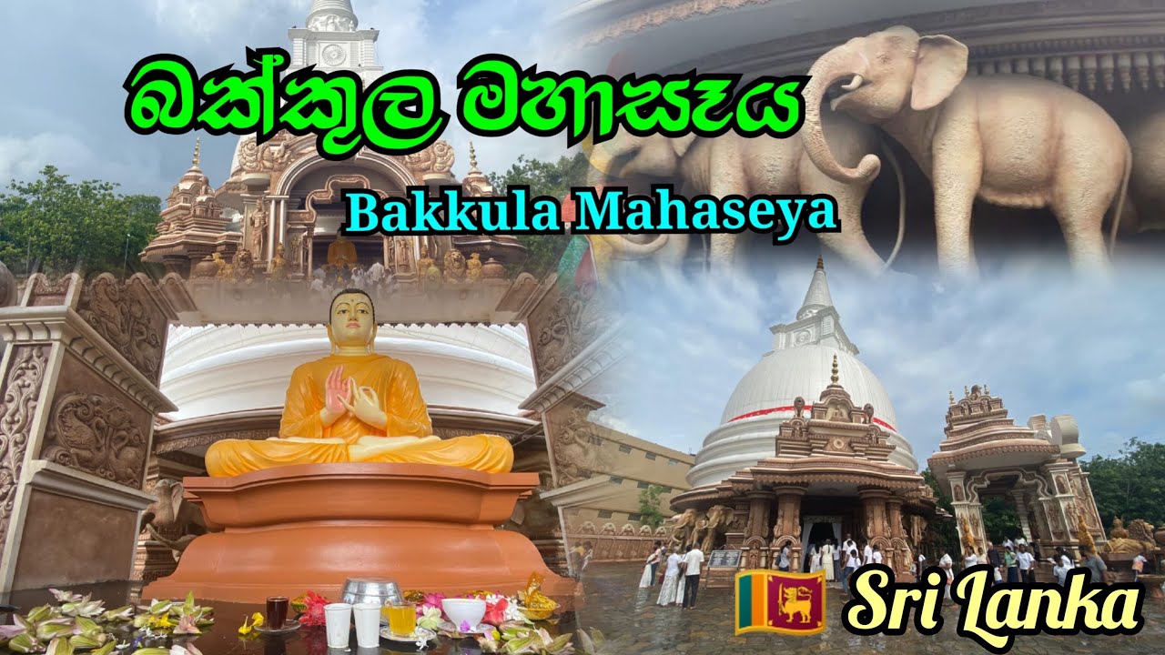 බක්කුල මහා සෑය| Bakkula Maha Seya🥰| sri lanka| Buddhist Temple # ...