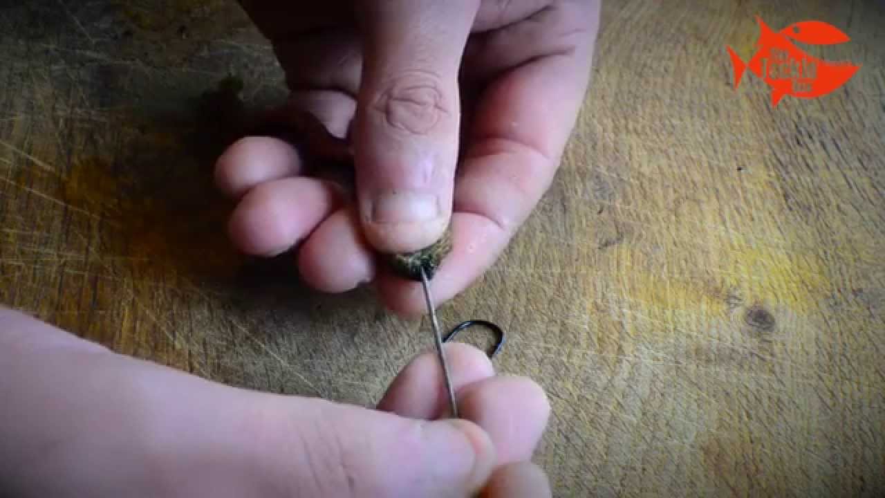 The Perfect Ragworm Bait - YouTube