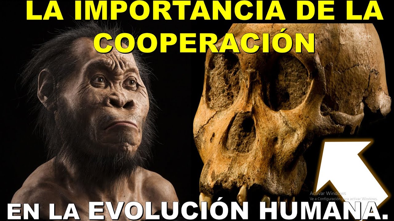 LOS 10 SECRETOS DE LA IMPORTANCIA DE LA COOPERACIÓN EN LA EVOLUCIÓN ...