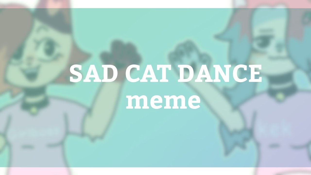 SAD CAT DANCE | ANIMATION MEME | (flipaclip) - YouTube
