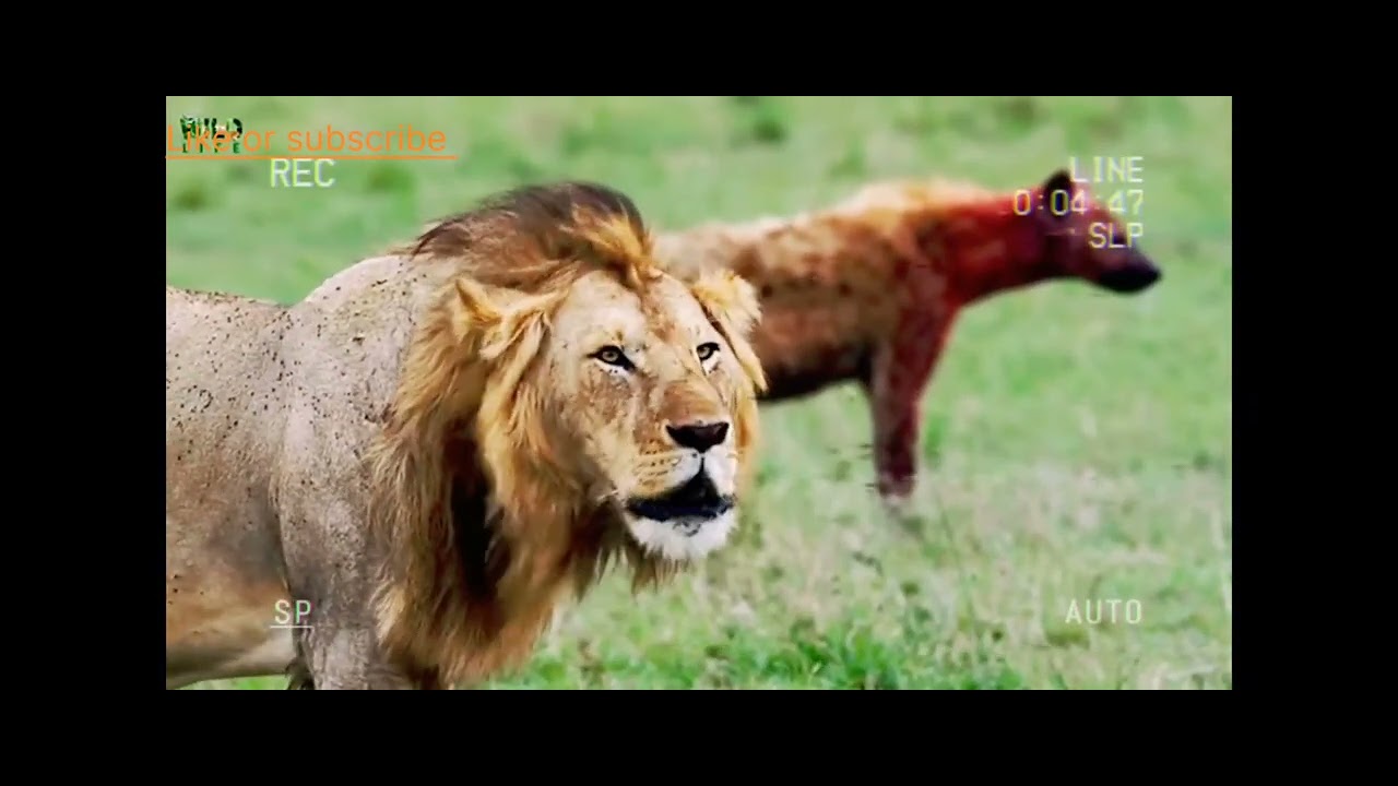 @Action_movie_67M - YouTube