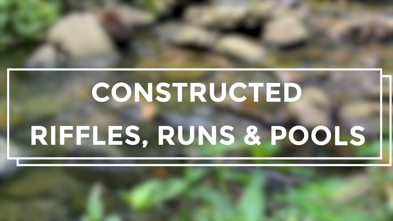 Riffles, Runs & Pools | Friends of the Reedy River - YouTube