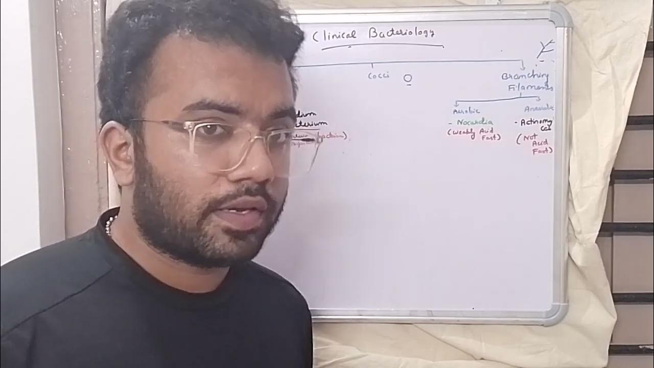 GRAM POSITIVE BACTERIA Algorithm - YouTube