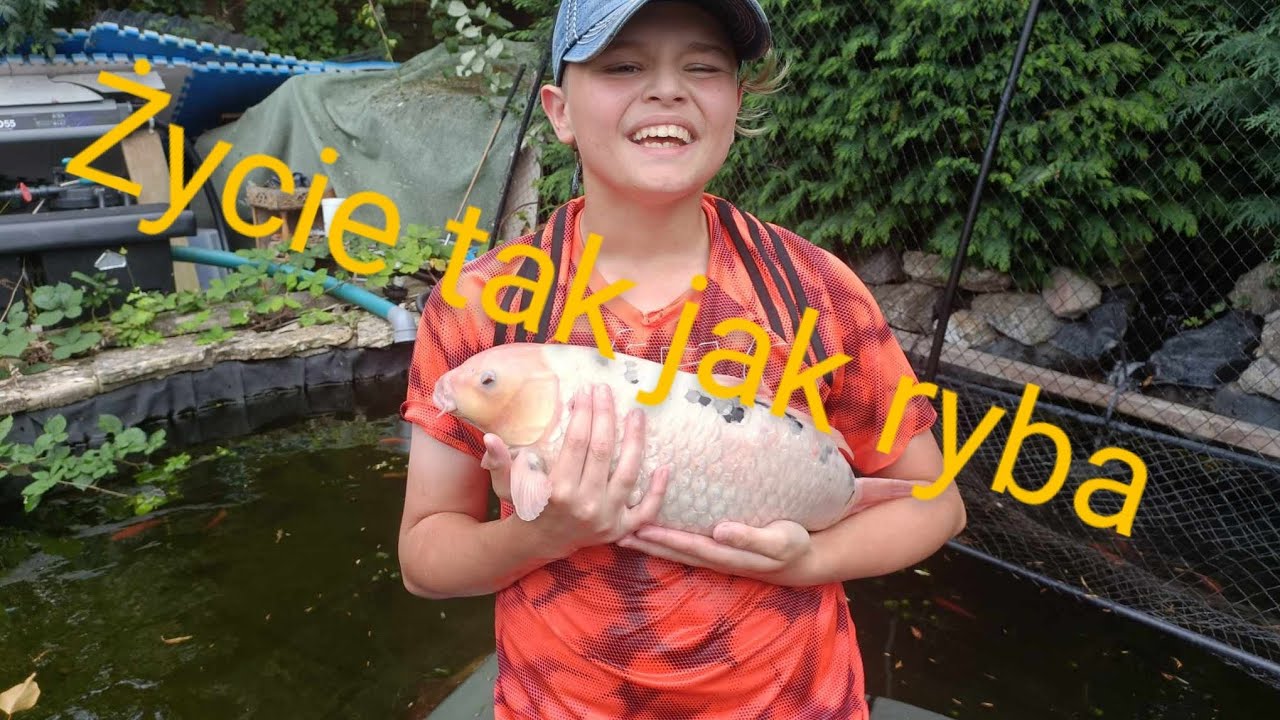 Życie tak jak ryba (MKB's version of Palion Życie tak jak w bajce ...