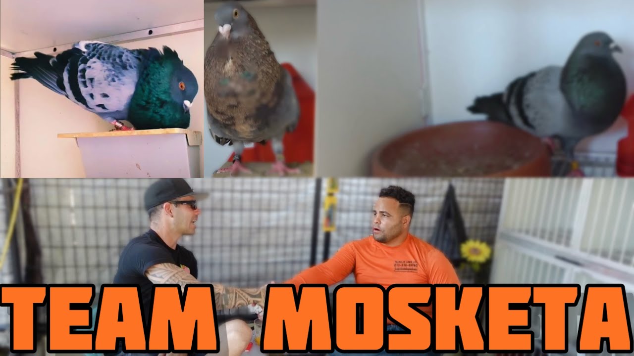 Reproductores del Yoe (Team Mosketa) - YouTube