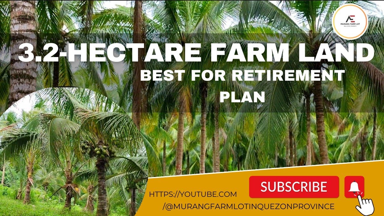 (Vlog#036) 3.2-hectare farm land for sale best for retirement plan for ...
