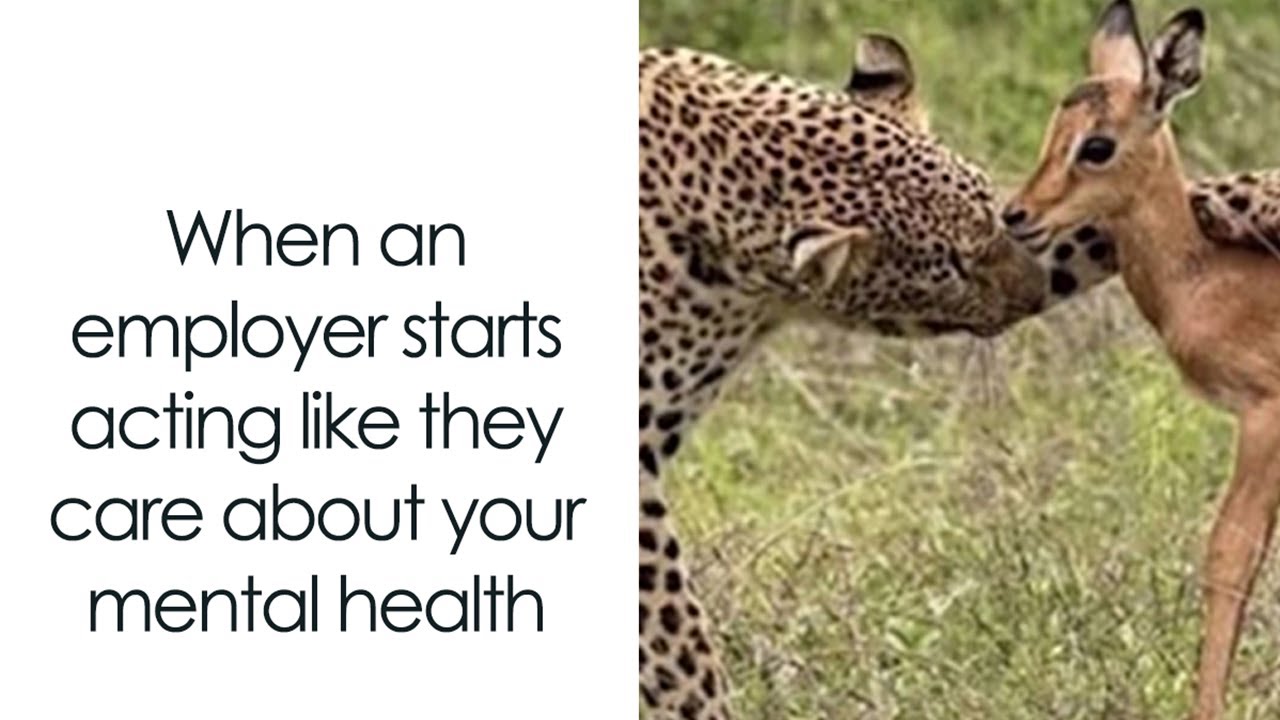 Painfully Hilarious Memes From “Just A Typical HR Person” | Memes Time ...