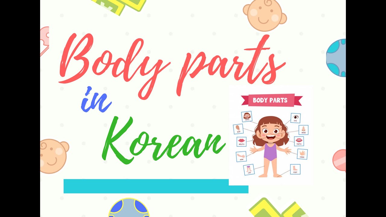 Learn Korean|Body parts in Korean|Maring Cring2 - YouTube