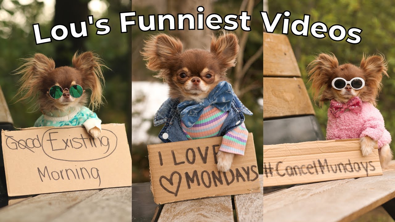 FUNNIEST Cancel Monday Videos 🤣 - YouTube