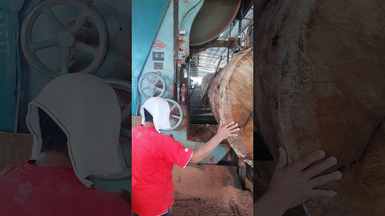 Potong Kayu Meranti Besar2 Youtube