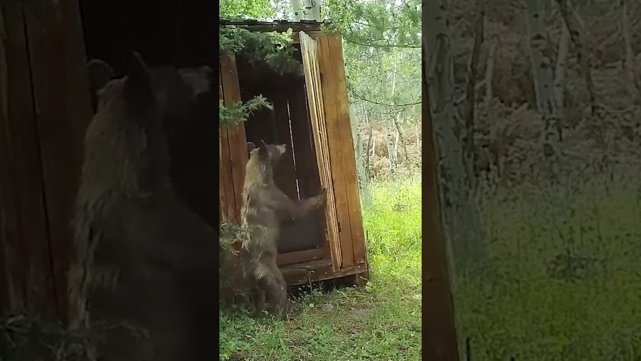 Nature filmmaking | Casey Anderson | United States