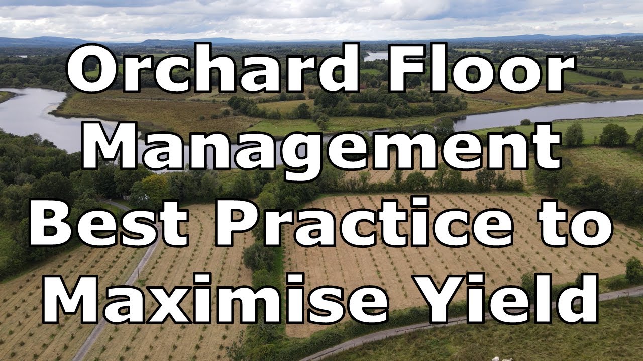 Orchard Floor Management Strategies to Improve Yields | A Review of ...