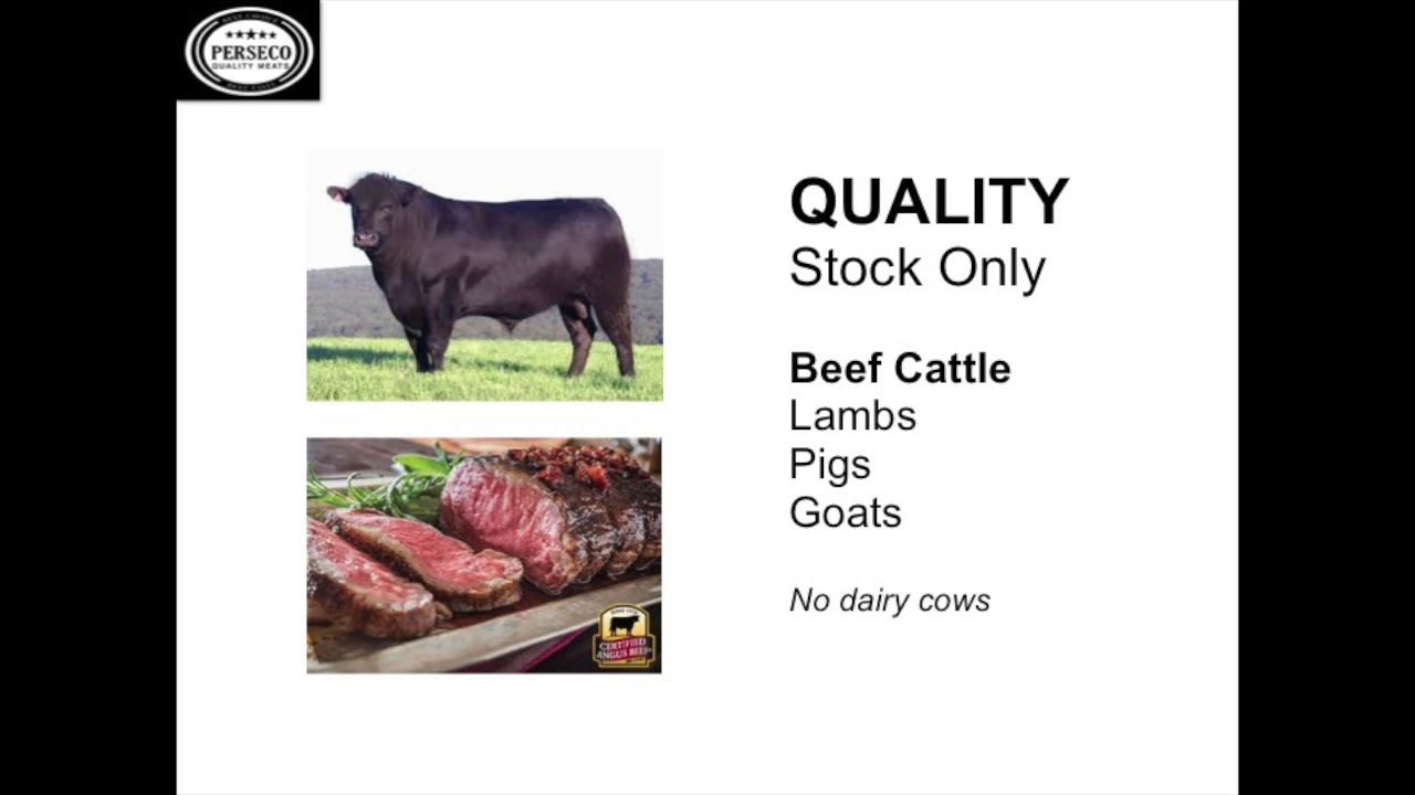 Perseco Recorded Business Presentation 2 - YouTube