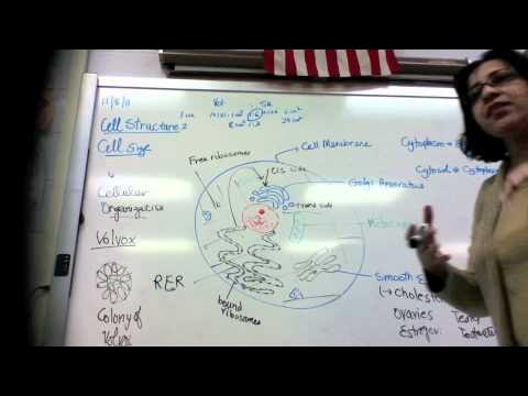 Chapter 4 Section 3 Part 1 - YouTube