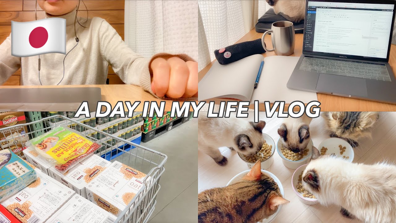 Vlog in Easy Japanese | a day in my life in Japan | 私の日本での1日 - YouTube