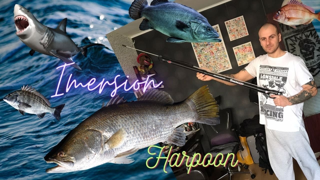 Imersion Challenger 90cm spearfishing harpon unboxing Harpoon ...