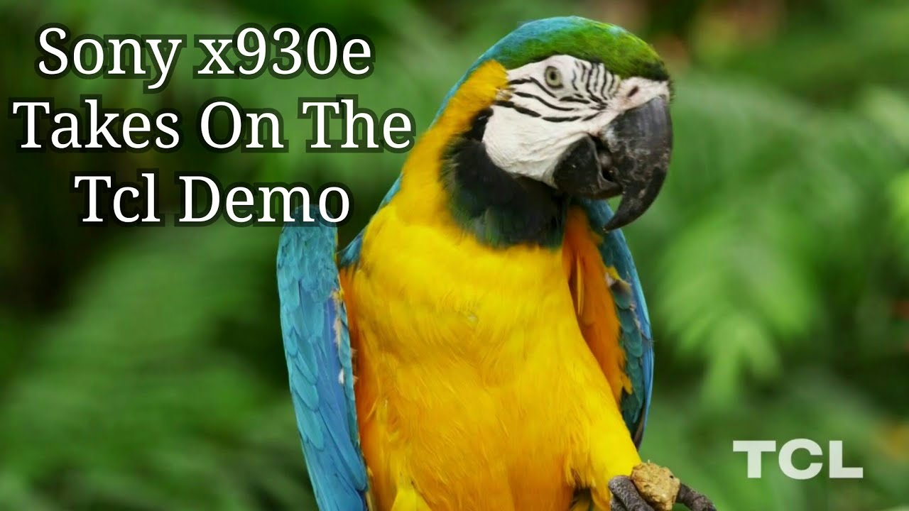 The Infamous TCL Demo (Front N Side View) Sony x930e - YouTube