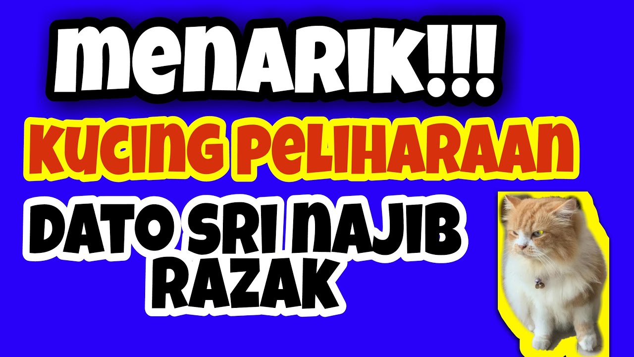 Menarik!!! Kucing Peliharaan Dato Sri Najib Razak - YouTube