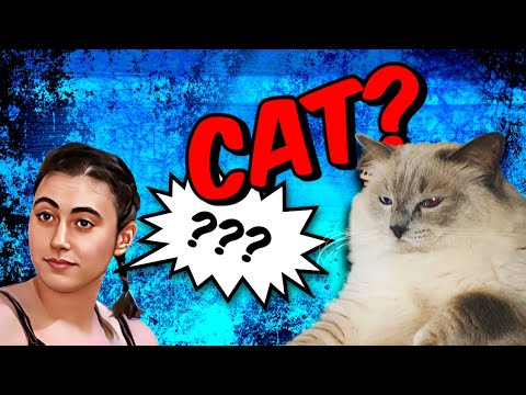 Blabs Learns About Ryno's Cat - YouTube