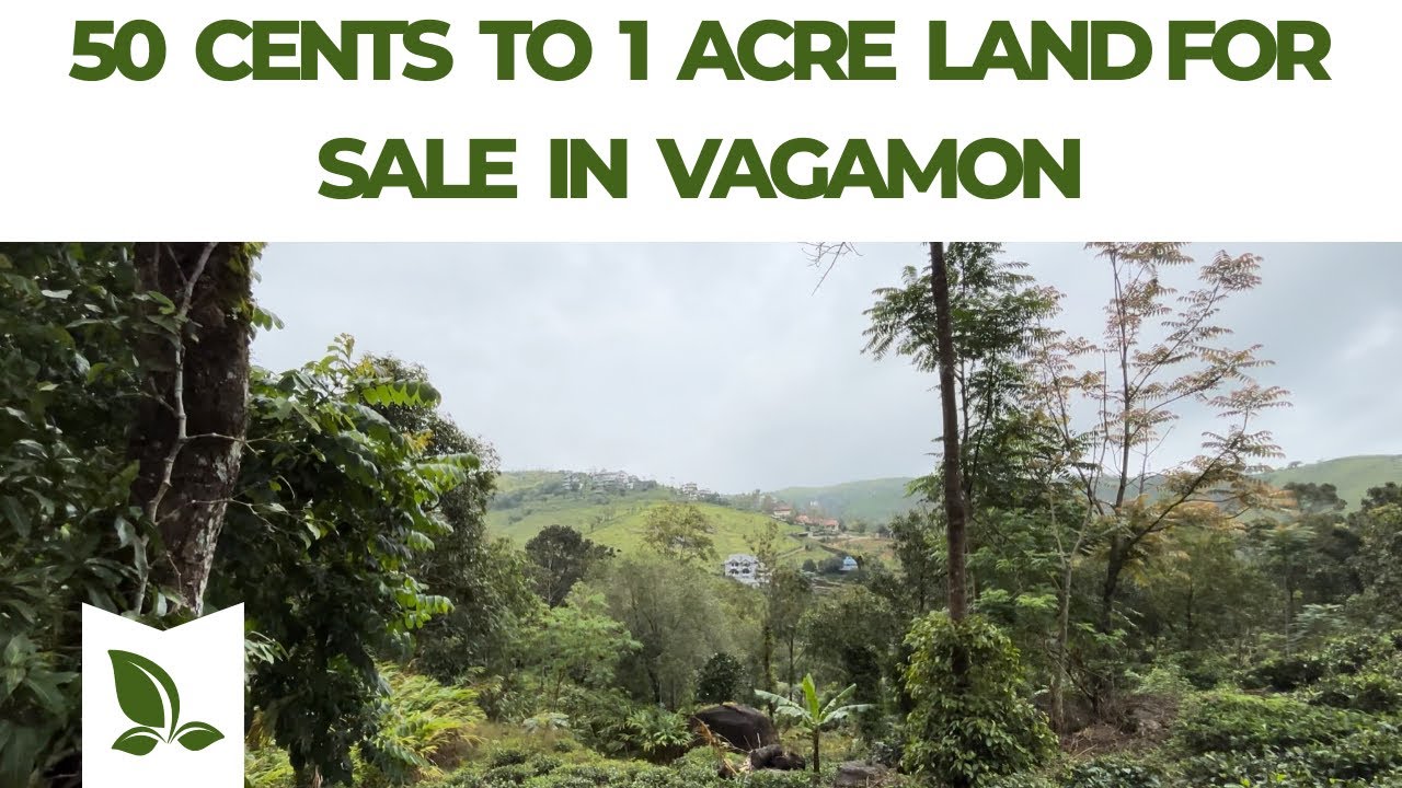 50 Cents To 1 Acre Land For Sale In Vagamon - YouTube