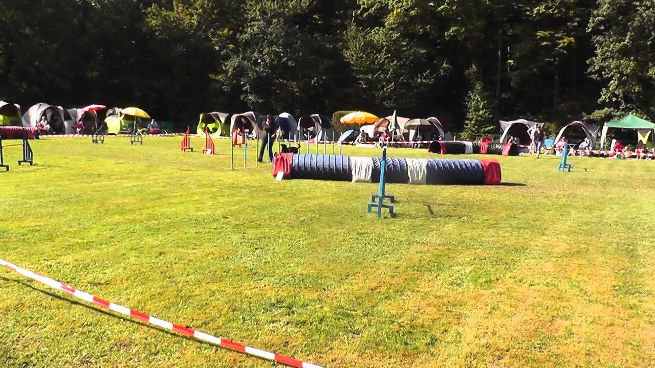 Melanie Bertsch & Kiwi J 3 - Agilityturnier in Straubenhardt am 3 10 ...