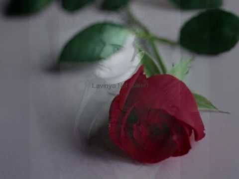 Ferdi üNaL - ELVEDA !! Cinnet geçiren kız bu şarkıyı dinledi ve kendini öldürdü..