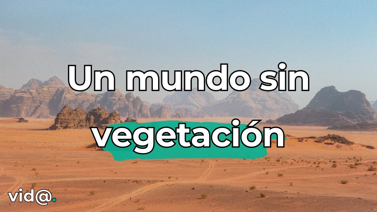 ¿Qué pasaría si los árboles y las plantas desaparecieran del planeta? # ...