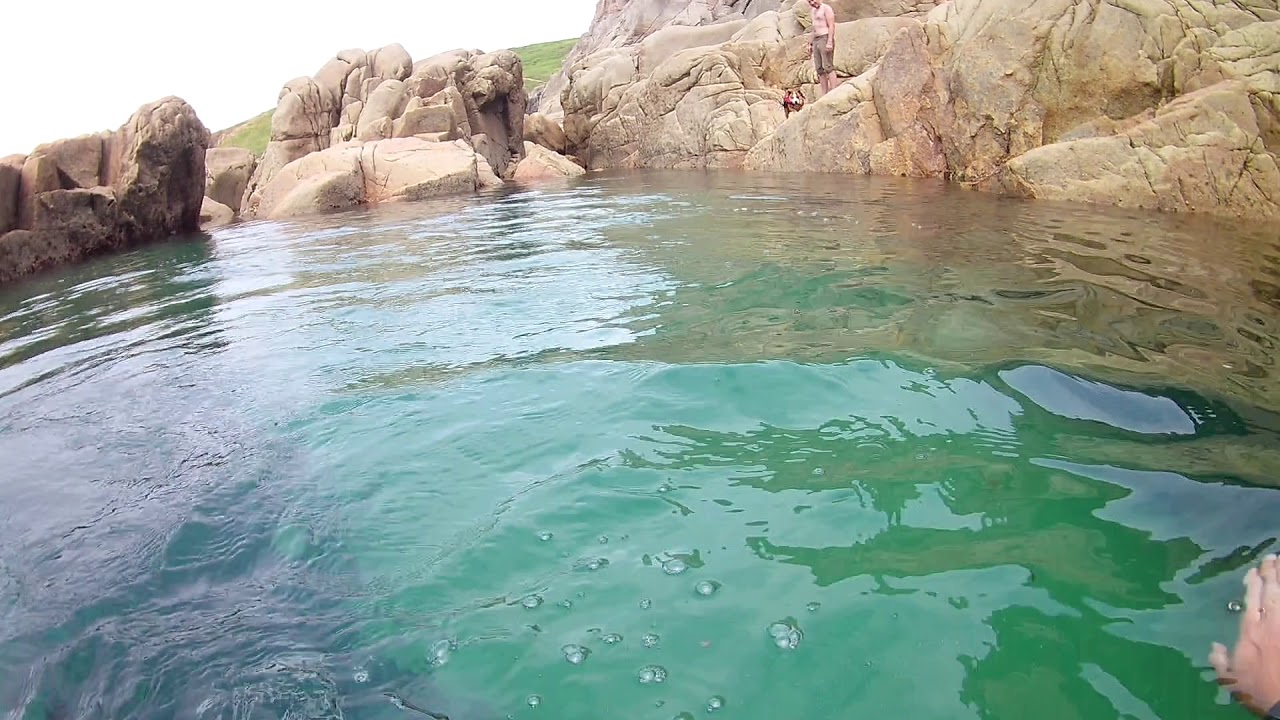 Bella swimming in Ray pool - YouTube