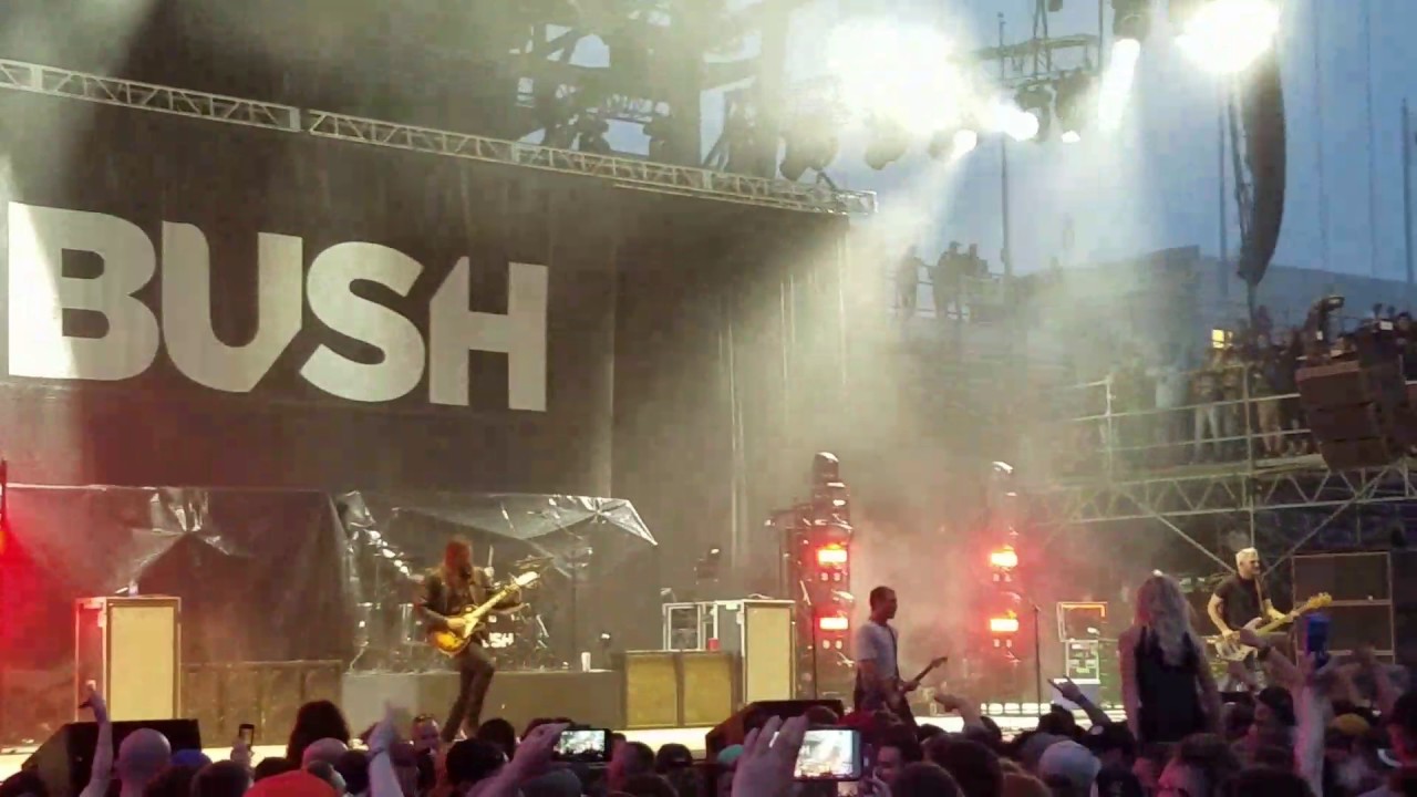 Bush everything zen - snetBos