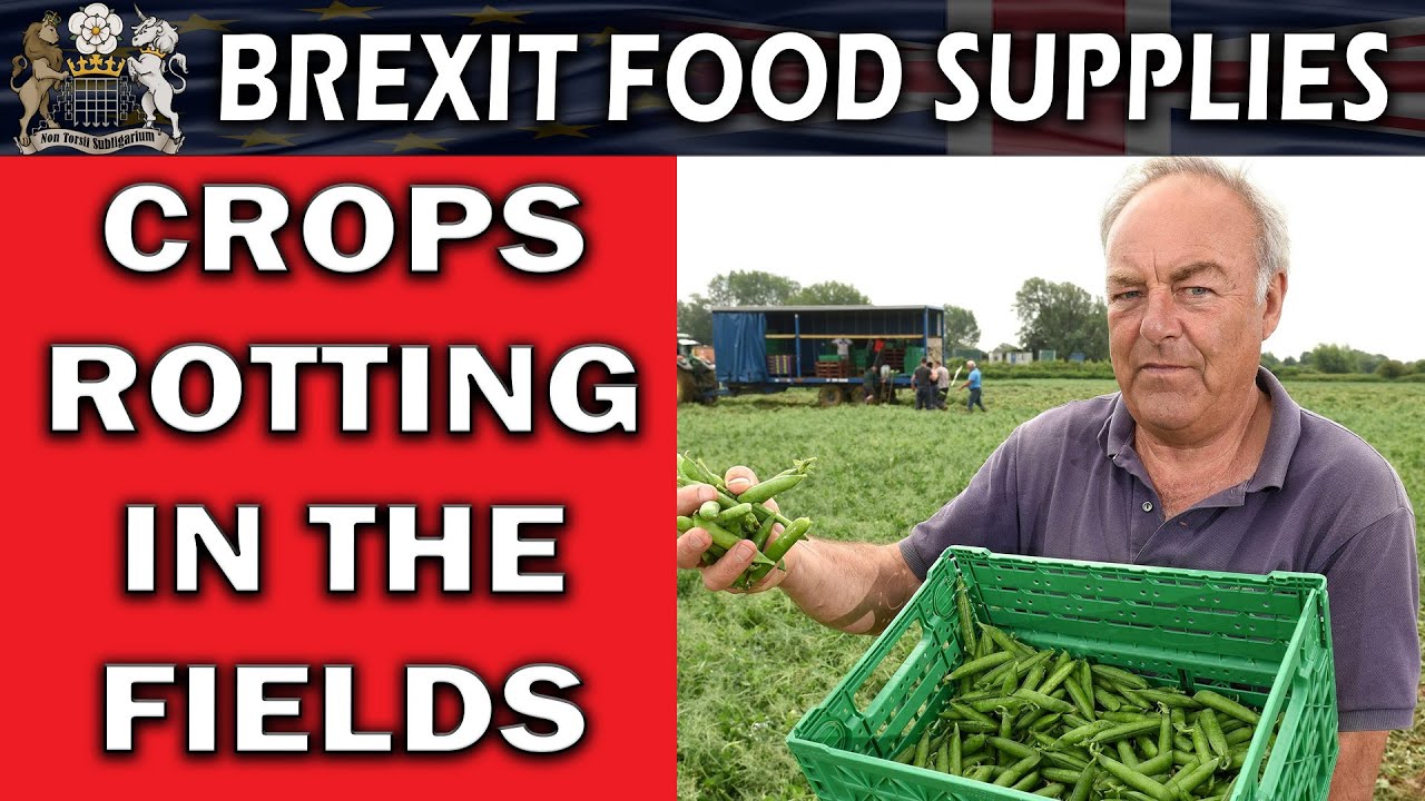 Crops Rotting in the Fields Again - YouTube
