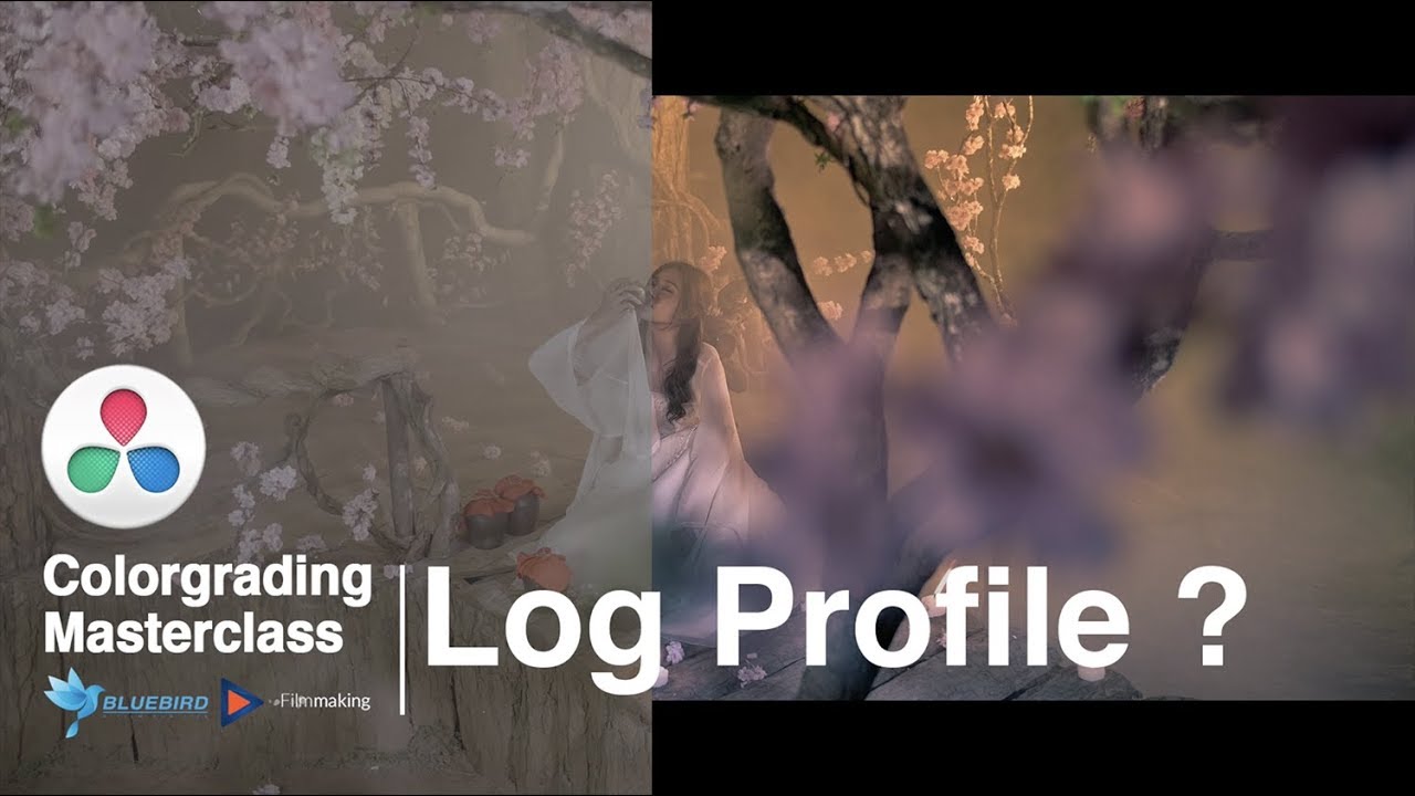 Giải thích về Log profile là gì ? Why you NEED to be adjusting your LOG ...