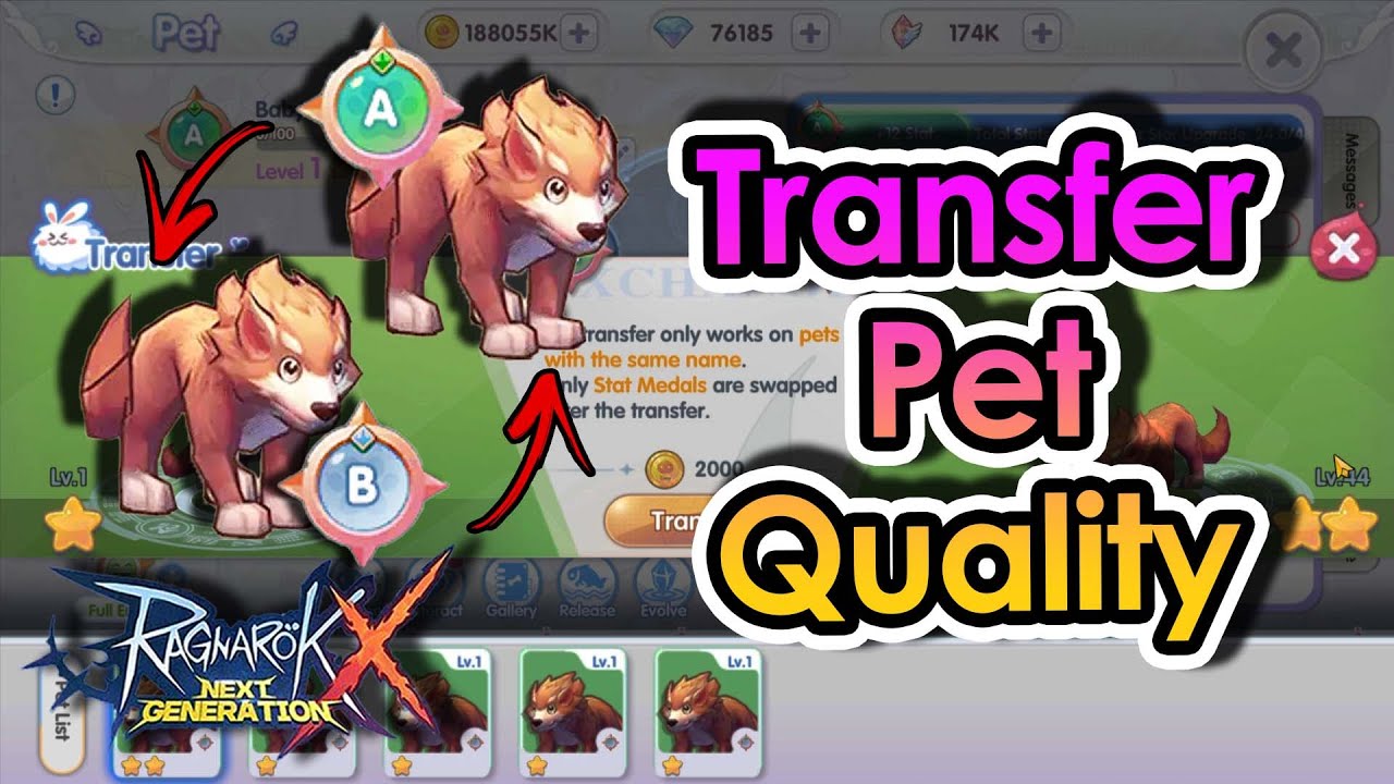 [ROX] Upgrade Your Pet By Transfer Pet Quality For Better Stat ...
