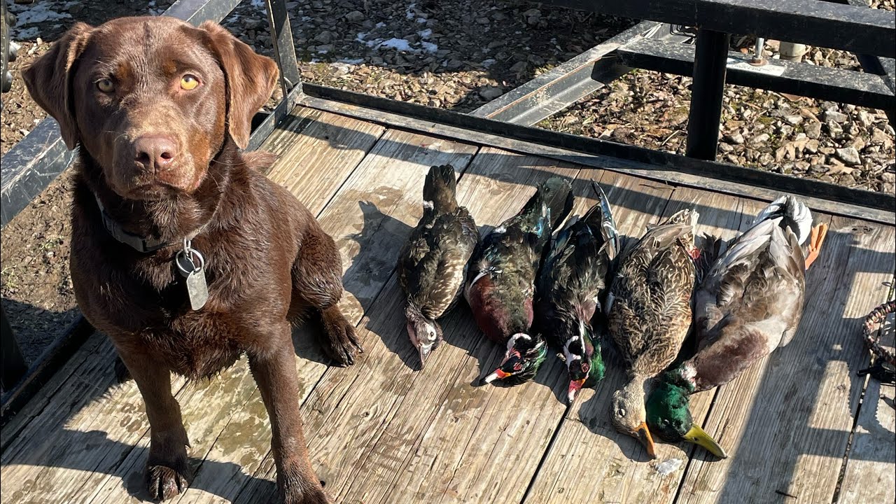 I Forgot my Waders and there was Ice! - YouTube
