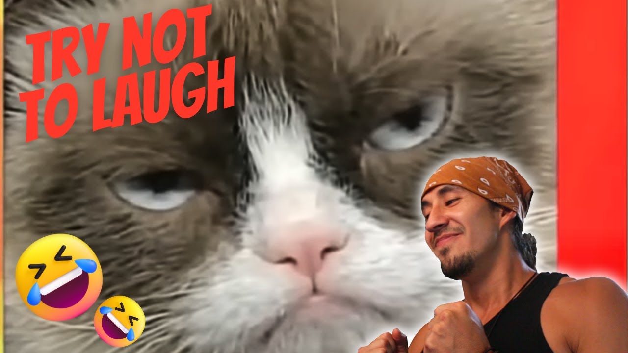 Compilation of People with Uncontrollable Laughter | Try Not to Laugh ...