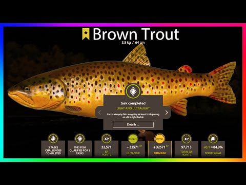 Russian Fishing 4 - TROPHY BROWN TROUT SPOT ON LOWER TUNGUSKA RIVER ...