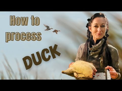 Process Ducks the easy way